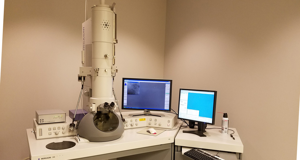 Morgagni Operation | Alpay B. Seven